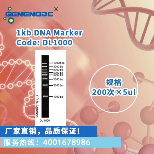 1kb DNA Marker-常规DNA marker-Genenode|君诺德公司