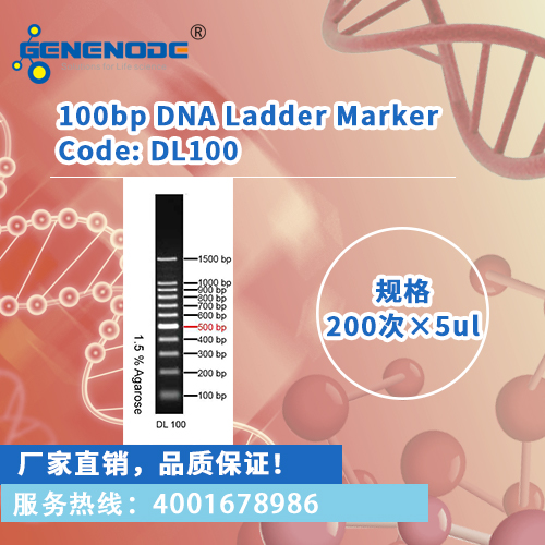 100bp DNA Ladder Marker-常规DNA marker-Genenode|君诺德公司